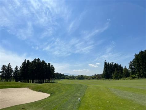 제주 사이프러스cc 대중제코스 라운딩 후기 네이버 블로그