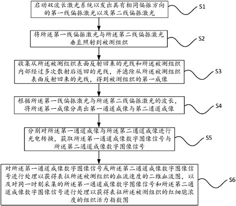 Multiparameter Imaging Detection Method And Apparatus For