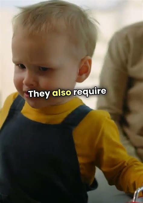 Why Do Doors Have Knobs Instead Of Handles The Surprising Reason Youtube