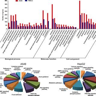 RNA Sequencingbased Transcriptomic Evidence For The Involvement Of Download Scientific Diagram