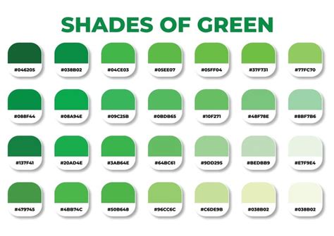 36 668 Color Swatches Green Stock Vectors And Vector Art Shutterstock
