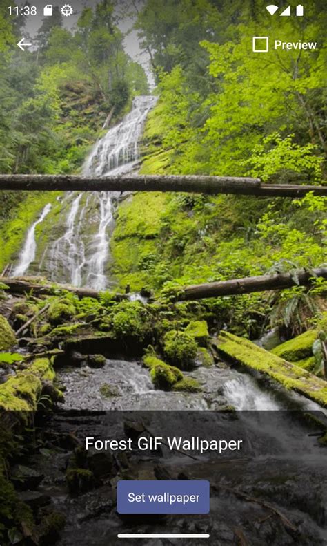 Forest  Wallpaper Apk For Android Download
