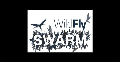 Putting The Micro” In Microservices With Wildfly Swarm Red Hat Developer
