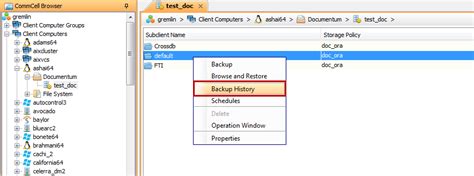 backup documentum idataagent oracle
