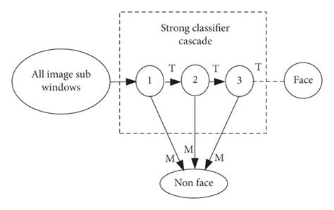 Cascade Structure Of Strong Classifiers Download Scientific Diagram