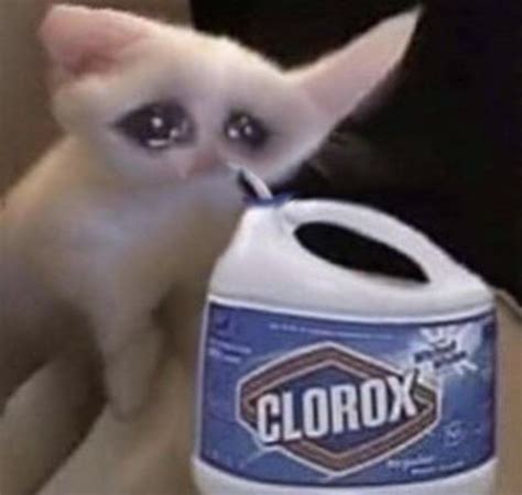 Sad Reaction Memes