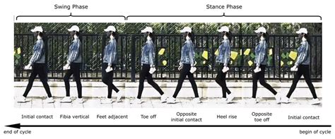 A Survey On Gait Recognition Against Occlusion Taxonomy Dataset And Methodology Peerj