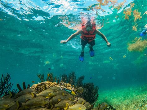 Snorkeling Adventure Cancun O Que Saber Antes De Ir 2026