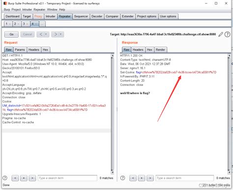 CTFshow web入门 信息搜集 ctf web解题 找flag CSDN博客