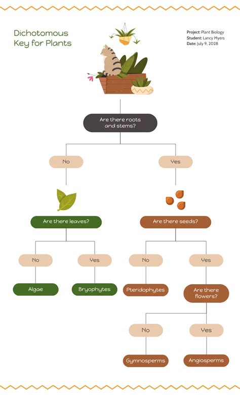 Plant Biology Dichotomous Key Diagram Template Venngage