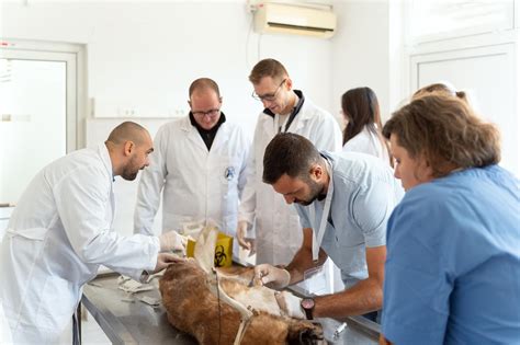 Работилница за терапии со матични клетки и плазма богата со тромбоцити на Факултетот за