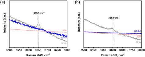 Typical Raman Spectra In The Region Of A G1 O H Mgoh 2 Vibration
