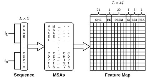 process used for generating the feature map of birds framework the