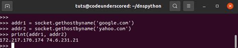 How To Do Nslookup In Python Code Underscored