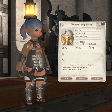 Ff14 志願兵 レア Ff14 冒険者小隊 隊員 Ff14 冒険者小隊 小隊員候補／加入条件一覧 Eorzean Aoyu