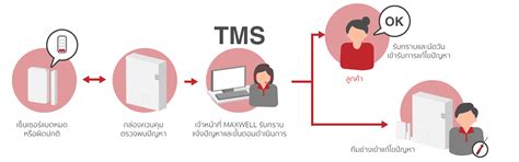 Tms Process Maxwell Security System