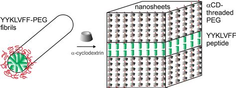 Tuning The Solution Self‐assembly Of A Peptide‐peg Polyethylene Glycol Conjugate With α
