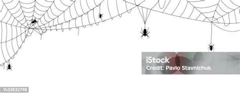 거미줄과 거미 실루엣이있는 검은 할로윈 배너 거미줄 짜증나는 배경 그물 프레임 벽 스티커 할로윈 기호의 무서운 찢어진 거미줄
