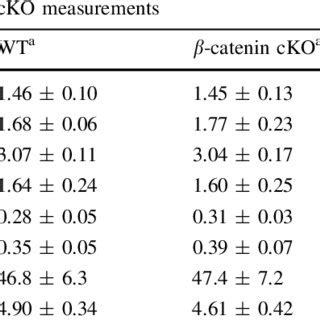 Echocardiographic Data And Cardiac Index Download Table