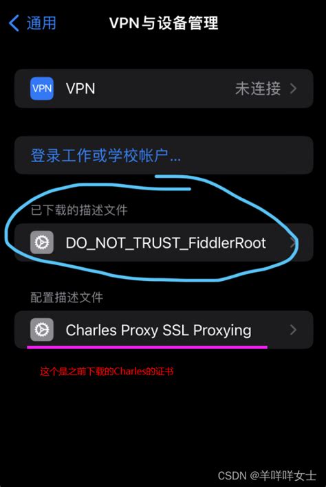 fiddler如何抓取手机 请求数据包（ios android保姆级教程） fiddler手机抓包 csdn博客