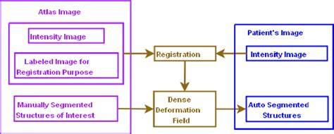 Figure 1 From Active Contour Based Segmentation Of Head And Neck With Adaptive Atlas Selection