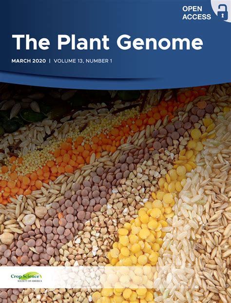 Characterization Of Genetic Heterogeneity Within Accessions In The Usda Soybean Germplasm