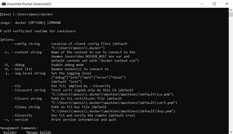 View Files Anaconda Prompt Posternored