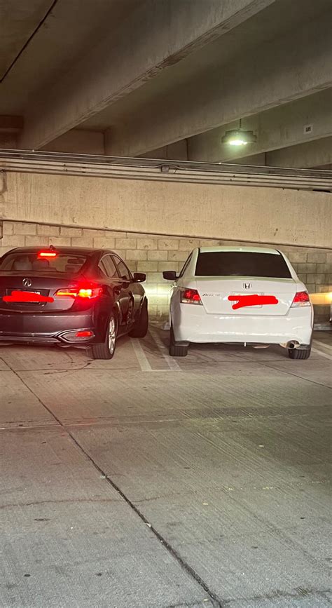 Elbee The Shark Lore R Csulb