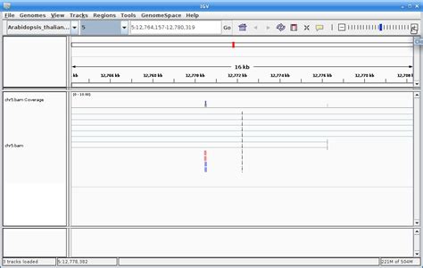 Alignment To Read Counts And Visualization In Igv Uc Davis