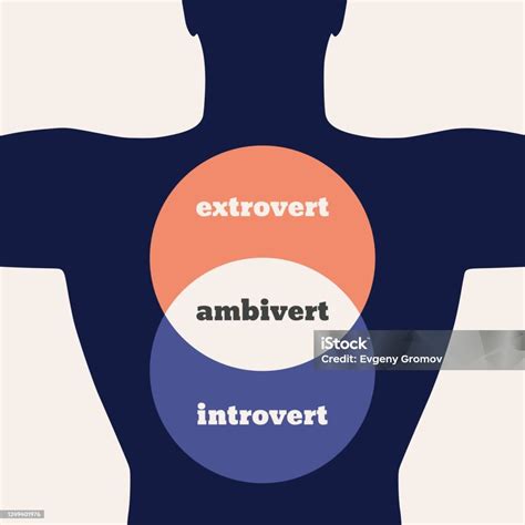 Extrovert Ambivert And Introvert Stock Illustration Download Image Now Shy Adult Adults