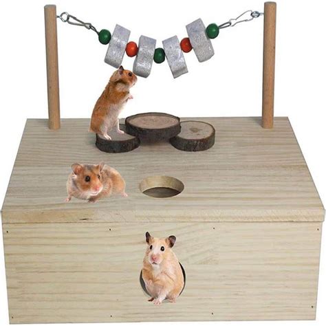 10 Types Of Hamster Toys You Should Consider Getting Hamsteropedia
