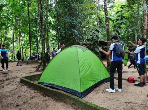 Rimba Camp Site Tree Top Walk Sungai Sedim Malaysia Camping