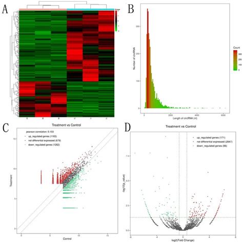 Identification Of Circular Rnas By Rna Seq Analyses In Synovial Tissues Download Scientific