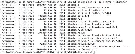 Python Pyodbc Error While Running Application Within A Container