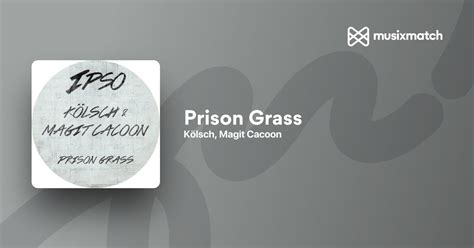Kölsch Magit Cacoon Prison Grass Lyrics Musixmatch