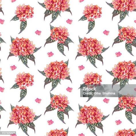 수국 꽃은 수채화 물감 무늬가 있습니다 가을 색의 끝없는 배경에 손으로 그린 꽃다발 패브릭 및 벽지를 인쇄합니다 0명에 대한 스톡 벡터 아트 및 기타 이미지 Istock