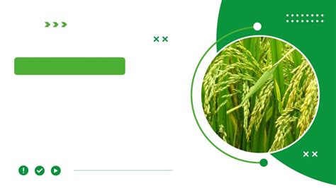Best Free Crops Google Slides Themes And Powerpoint Templates For Your Presentation Slidesdocs
