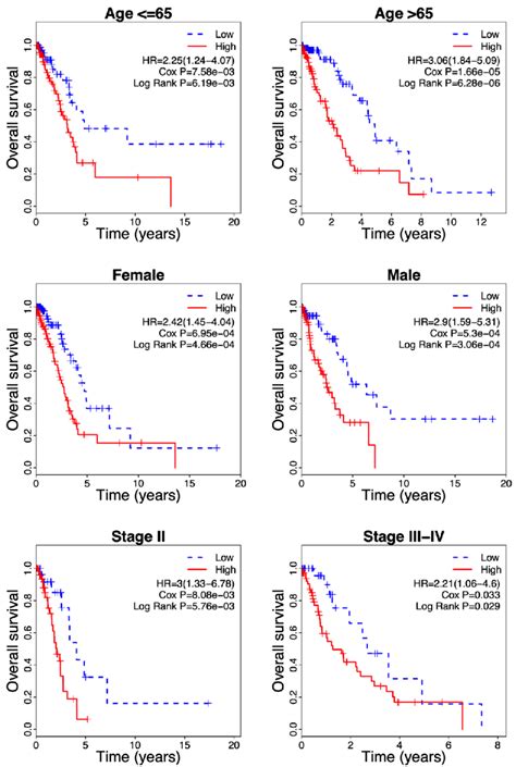 Stratification Analysis Of The Survival Prediction Performance Of The