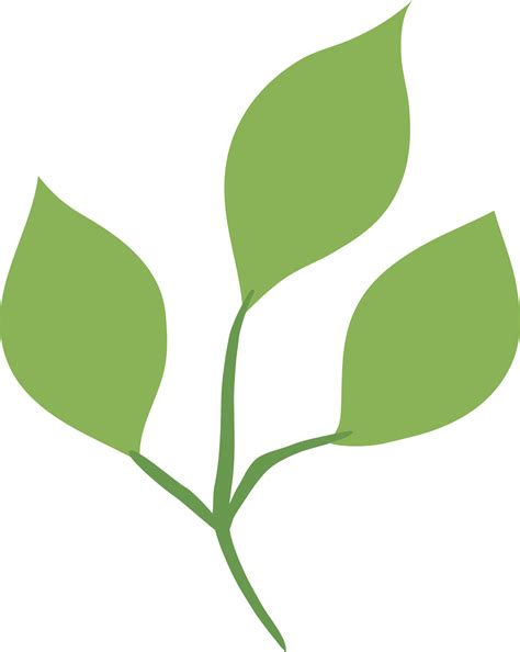 Leaf Png Graphic Clipart Design 19152907 Png