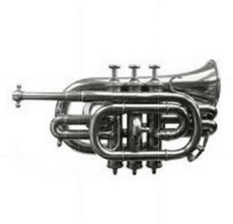 Marching Silver Brass Cornet Weight 2 Kg At ₹ 4450piece In Meerut