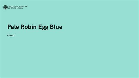 Robin Egg Blue Hex Code