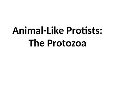 General Characteristics And Classification Of Phylum Protozoa Pptx