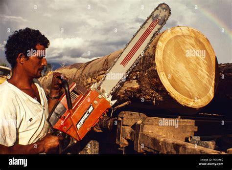 Logging Amazon Rainforest Deforestation Transportation Of Heavy And Big Tree Truncks Acre