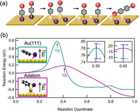 A Schematic Of The Key Steps For The Proposed Ullmann Coupling