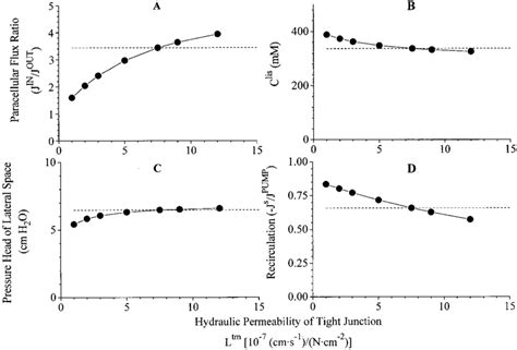 Recirculation Model Of Solute Coupled Fluid Transport In Leaky