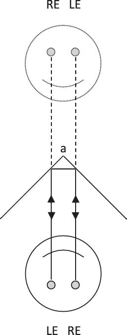 The Variable Angle Mirror Test The Subject Is Looking At A Nonreversed Download Scientific