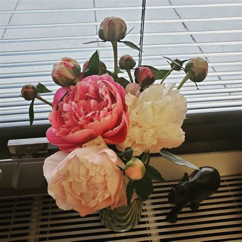 Emy Flowers Home Facebook