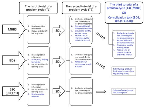 Variations Of The Pbl Process Among The Three Programs Variations Of Download Scientific