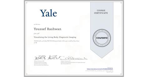 Youssef Shaaban On Linkedin Completion Certificate For Visualizing The