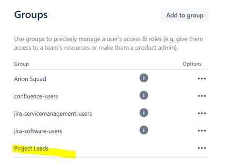 Solved Default Project Roles Not Working